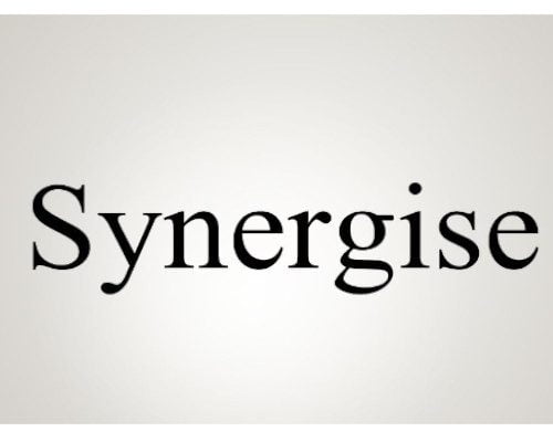 Synergise: Career Guidance for 11th & 12th Grader Students